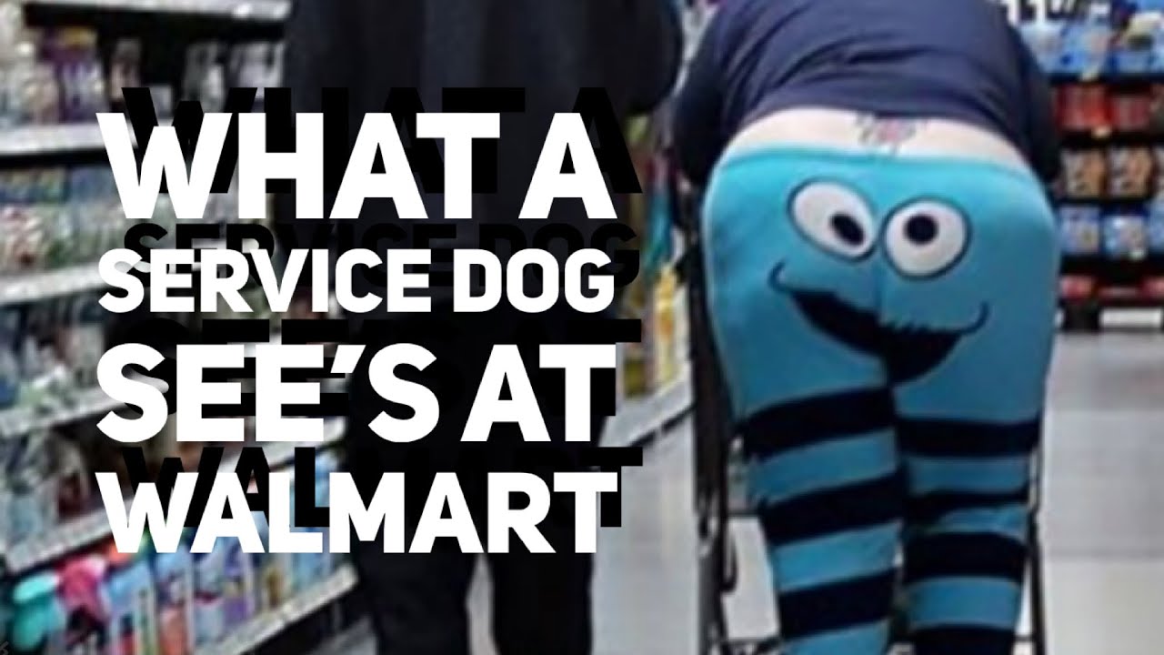 German Shepherd Service Dog at Walmart | What a Service Dog See's At ...