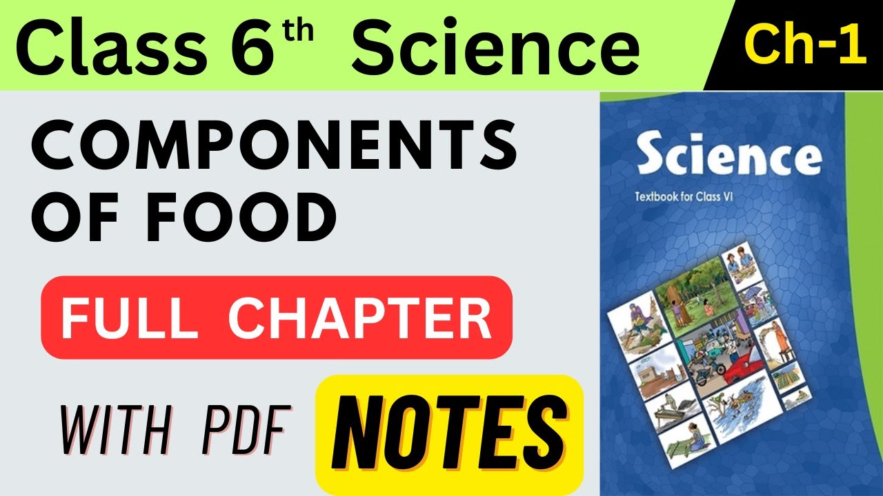 Class 6 Science Chapter 1 Components of food full chapter explanation ...