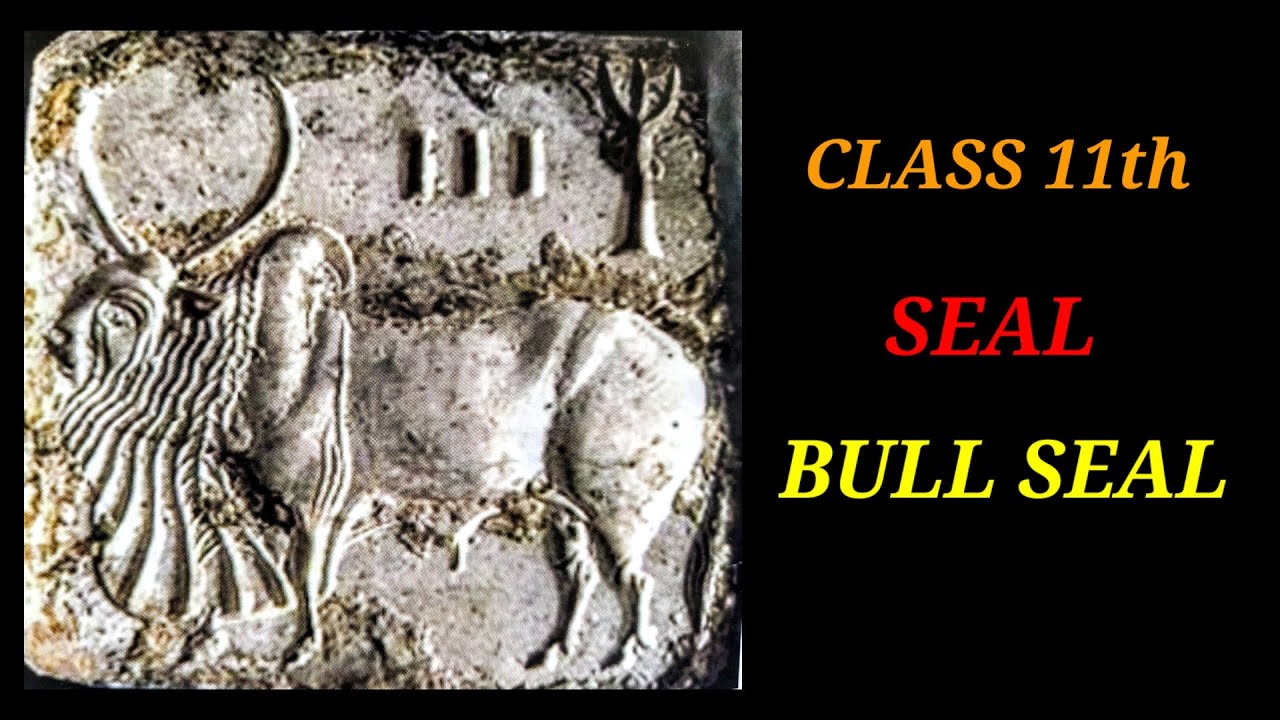BULL SEAL for Class 11th - YouTube