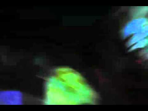 Terraria flying fish!!!!!!!!!!!!!!!!!!!!!!!! - YouTube