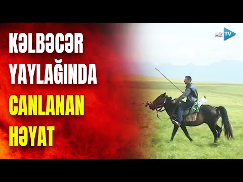 Kəlbəcərdə çadırlar quruldu: səs-küyə bürünən, canlanan azad dağlar