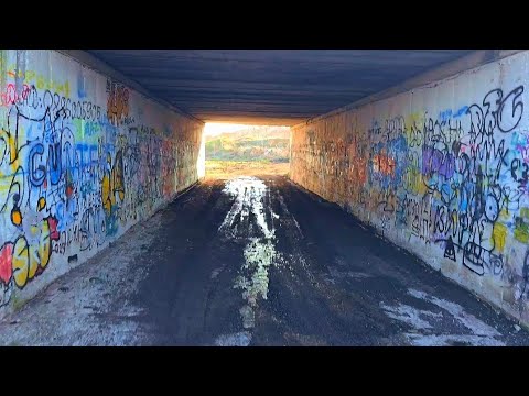 Переезд в Болгарию. Зачем и кто едет в Болгарию🤔