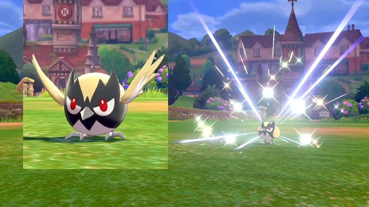 Shiny Rookidee on Pokemon Shield! - YouTube