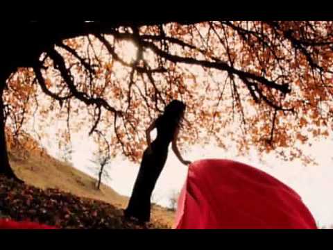 Nazım Hikmet Ran -KELİMELER
