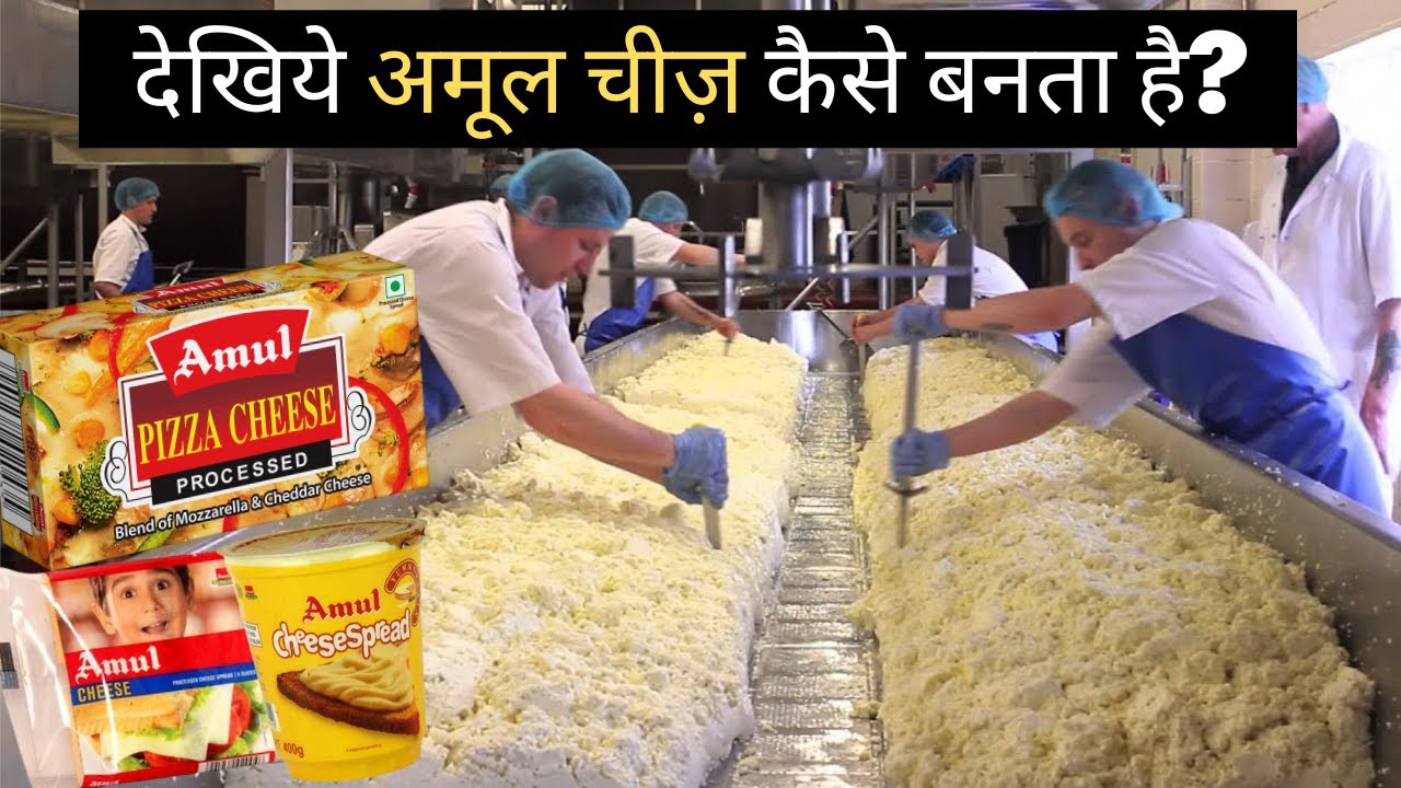 😱😱 देखिए अमूल चीज़ कैसे बनता है? How is Amul cheese made in factory ...