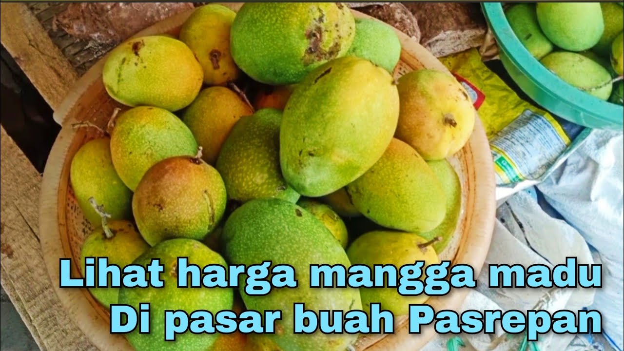 BELAJAR CARA MENAWAR MANGGA MADU DI PASAR BUAH PASREPAN PASURUAN - YouTube