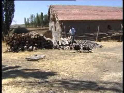 BAYAZIT KÖYÜ IZINIM AGUSTOS 2000 6