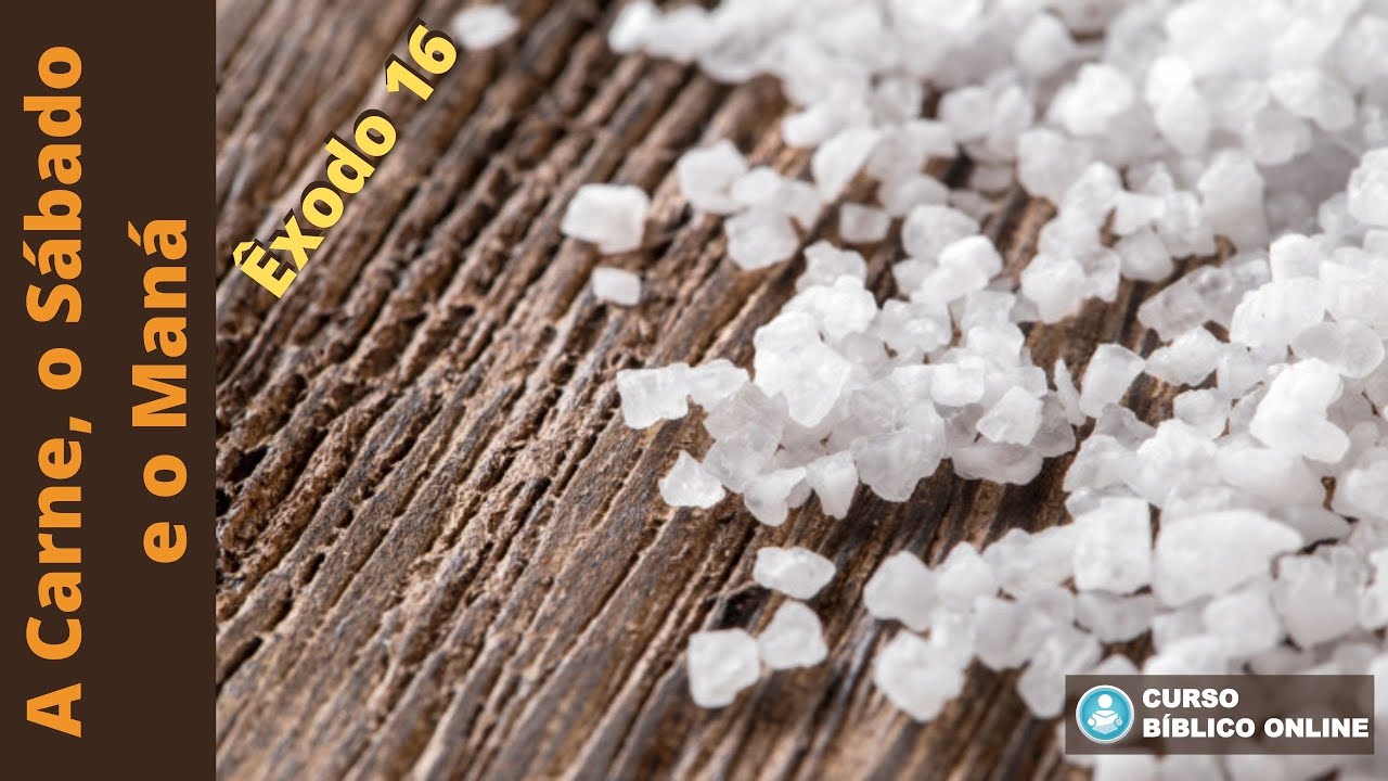 Êxodo 16 - A Carne, o Sábado e o Maná - YouTube