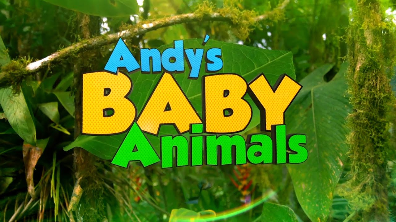 Full Theme Song! 🎶 | Andy's Baby Animals - YouTube