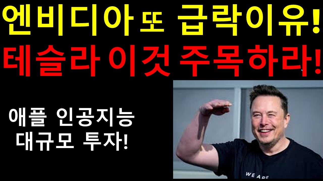 엔비디아 또 급락이유 테슬라 이것을 주목하라 엔비디아 실적발표의 문제점은 무엇인가 테슬라가 만드는 생태계는 세상에 큰