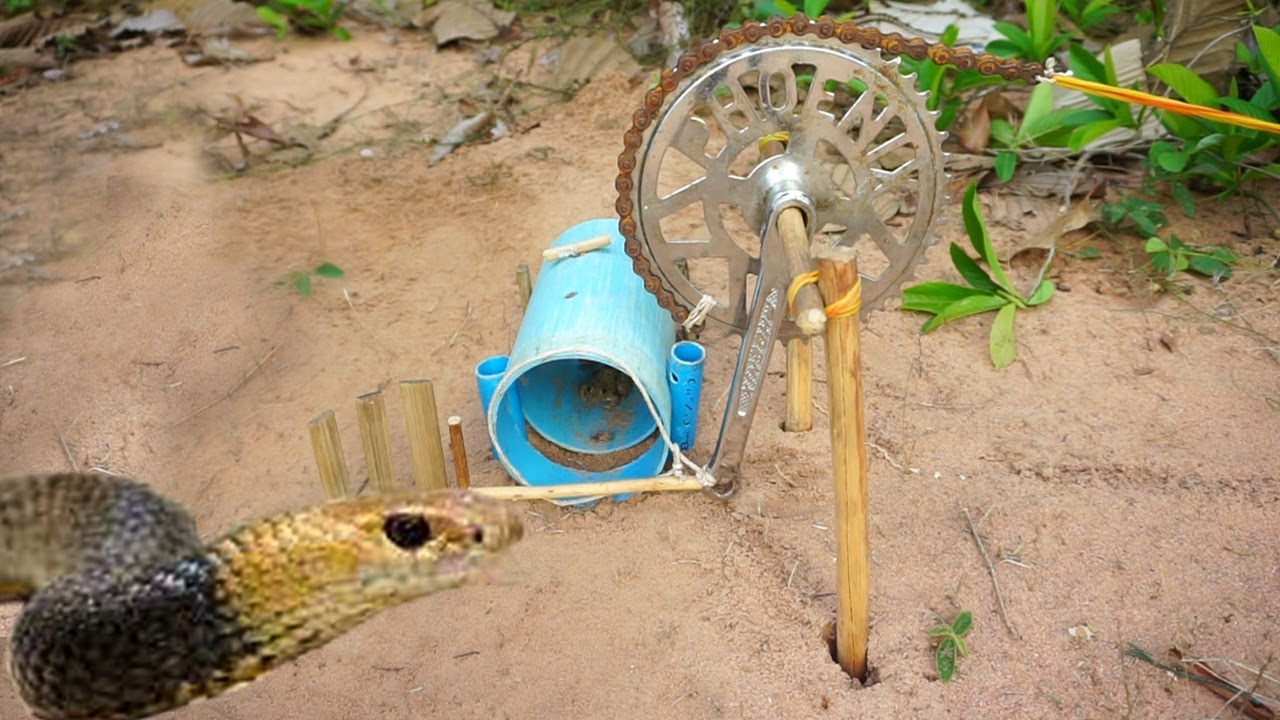 Build underground snake trap make from crank bike & pipe - Easy snake ...