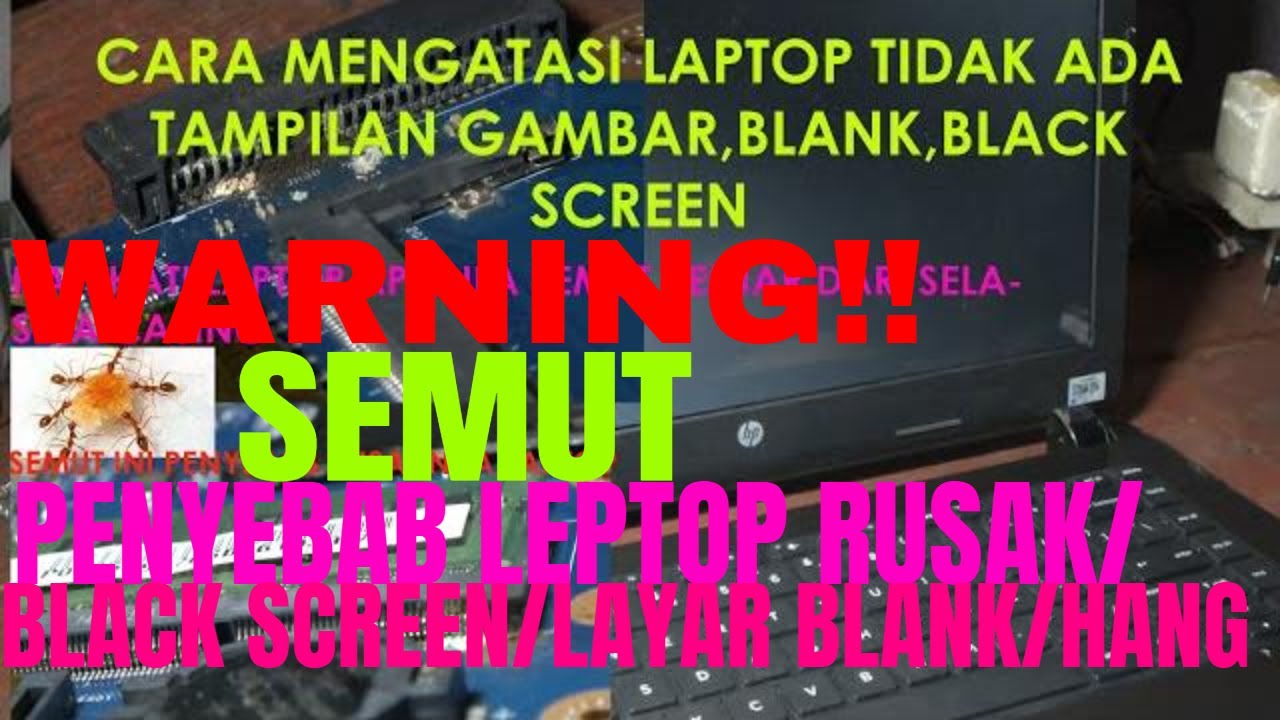 MEMPERBAIKI LAPTOP TIDAK ADA GAMBAR-LAPTOP HP BLACK SCREEN-MENGATASI ...