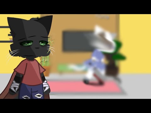 N2 Cat Crew "Happy Days" :) EP1 - YouTube