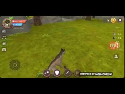 Wildcraft cute wolf pup so cute - YouTube