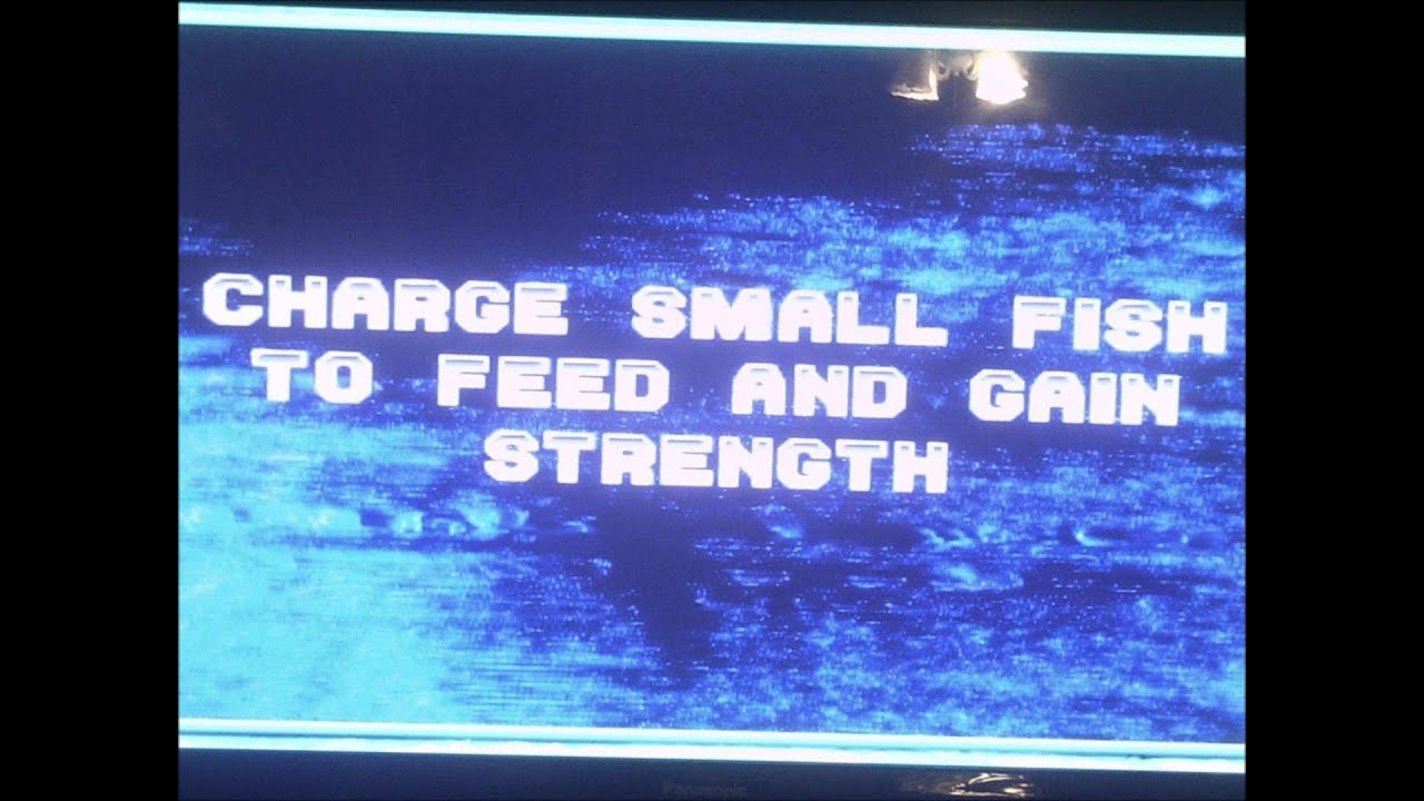 new monivie - YouTube