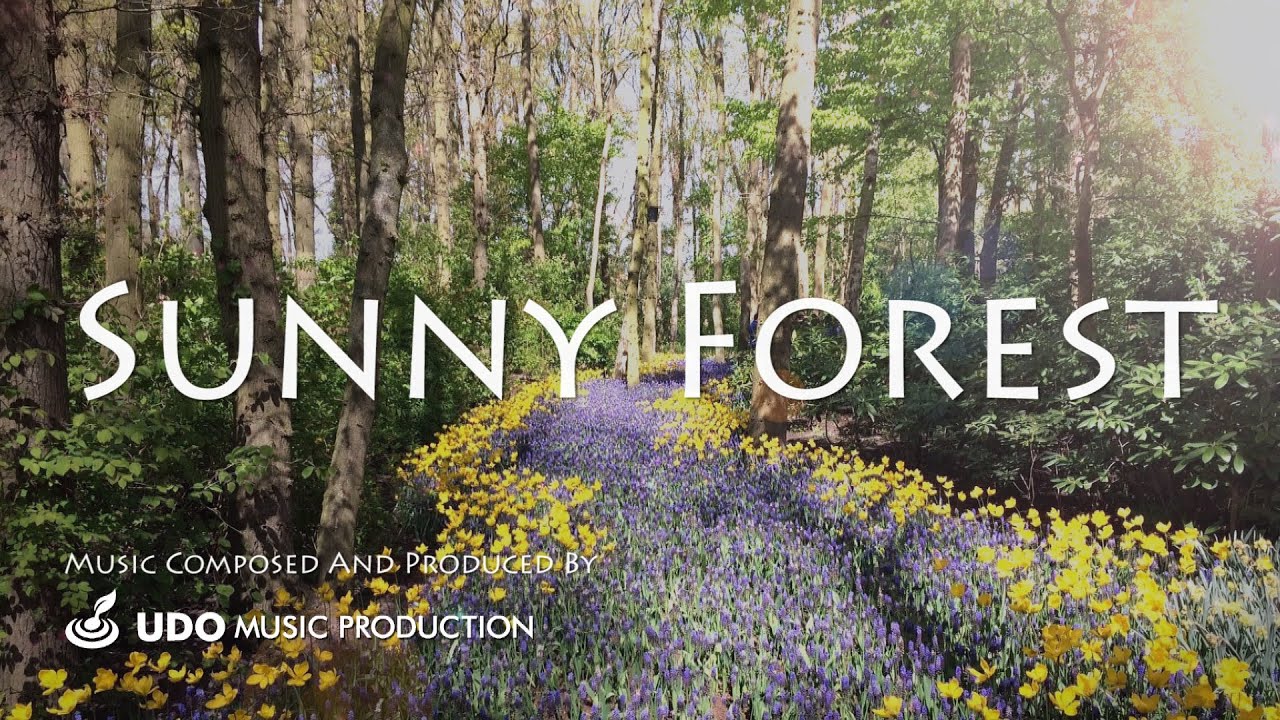 Most Happy Uplifting Inspiring Music [Royalty Free] - YouTube