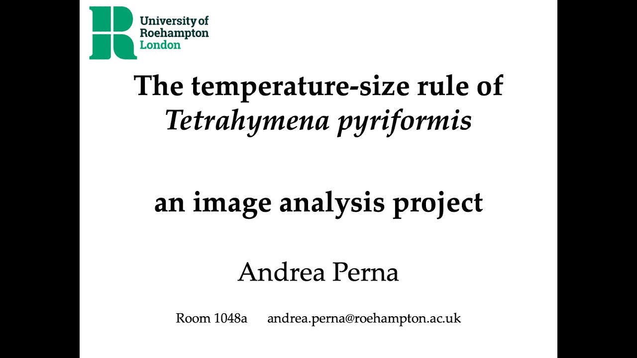 Shape analysis with ImageJ - YouTube