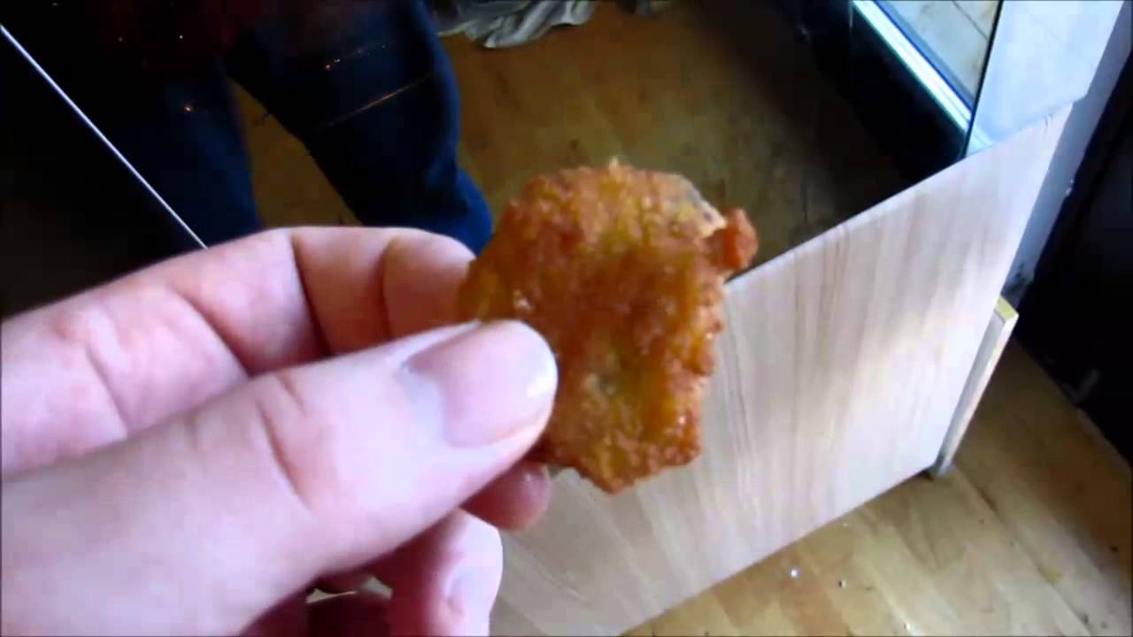 Pohana bikova jajca - YouTube