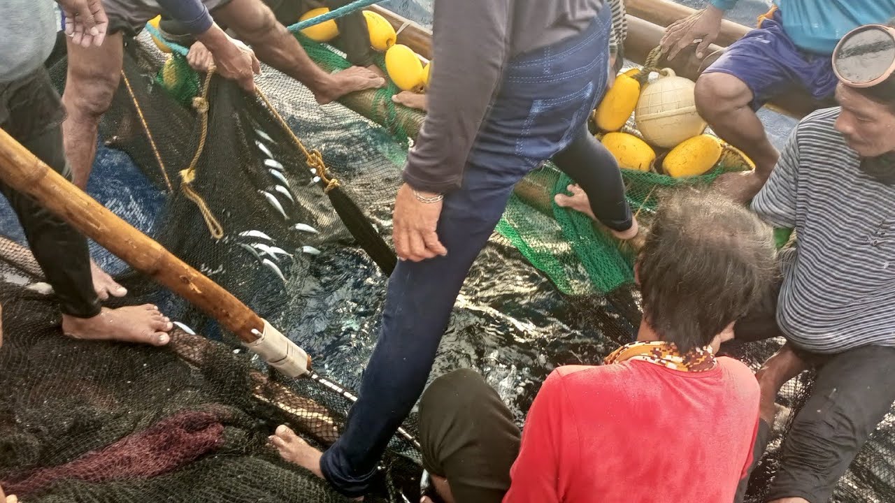 Nagkakagulo sa pagsalok ng huli. 2024. - YouTube