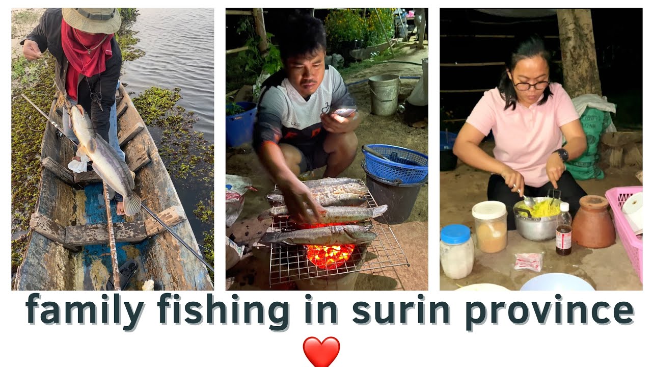 Fishing family in Surin province|នេសាទត្រីលក្ខណៈគ្រួសារនៅសុរិនប្រទេសថៃ ...
