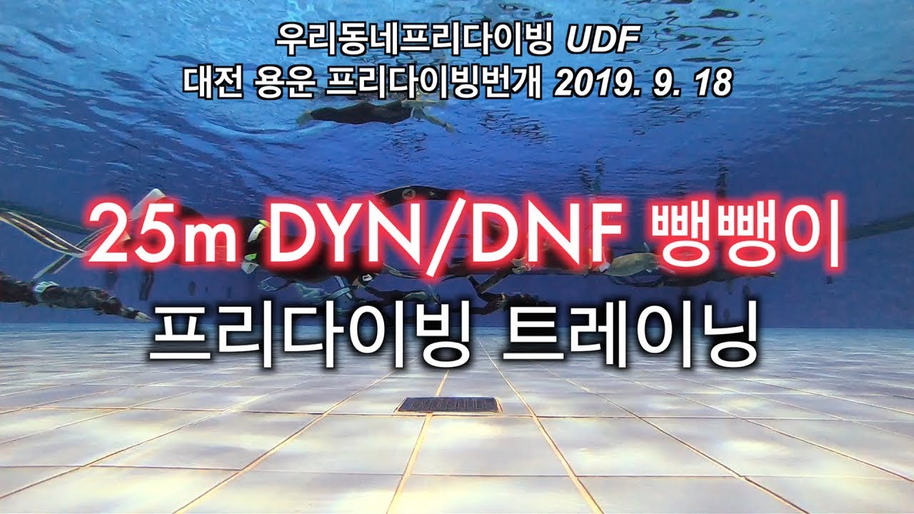 프리다이빙 DYN 단체 CO2 트레이닝 뺑뺑이 25m 함께 연습해요! Freediving Training CO2 Table ...