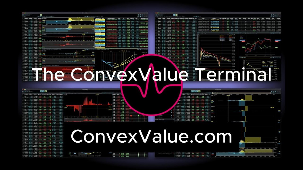 The ConvexValue Terminal - Flash Tutorial - YouTube