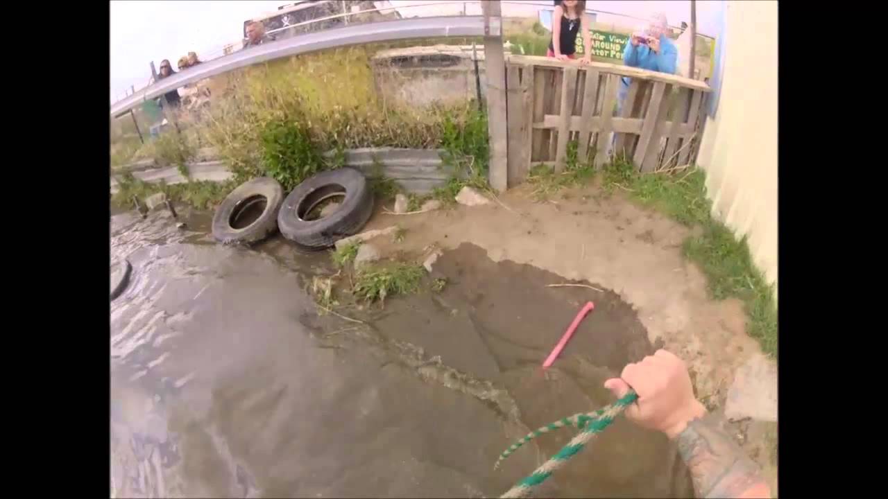 Catching gators on the farm - YouTube