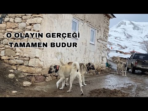 AZAP KILLI BOZO OLAYININ GERÇEĞİNİ ÖNCE SEVENLERİME SONRADA O SAHTEKAR İBLİSLERE GELSİN