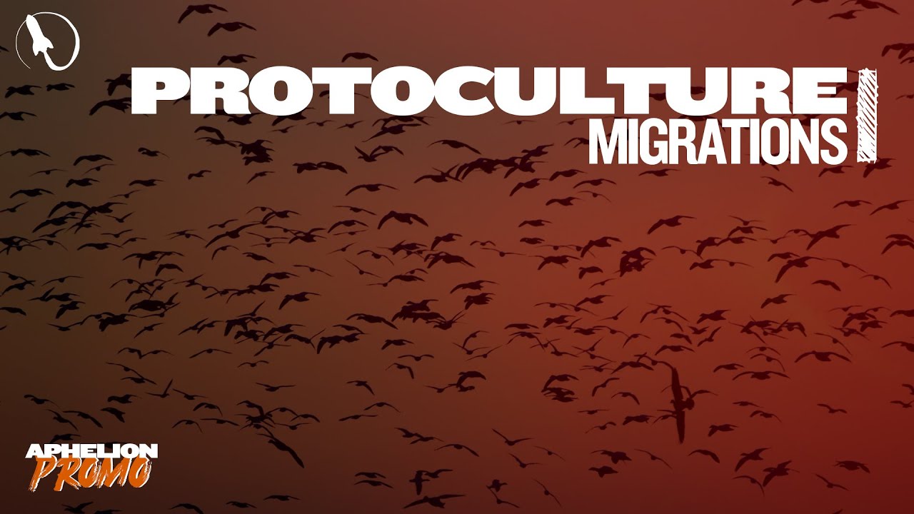 Protoculture - Migrations (Extended Mix) - YouTube