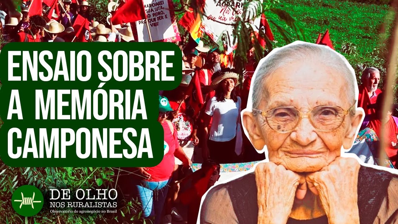 O que o centenário de Elizabeth Teixeira nos ensina sobre a memória ...