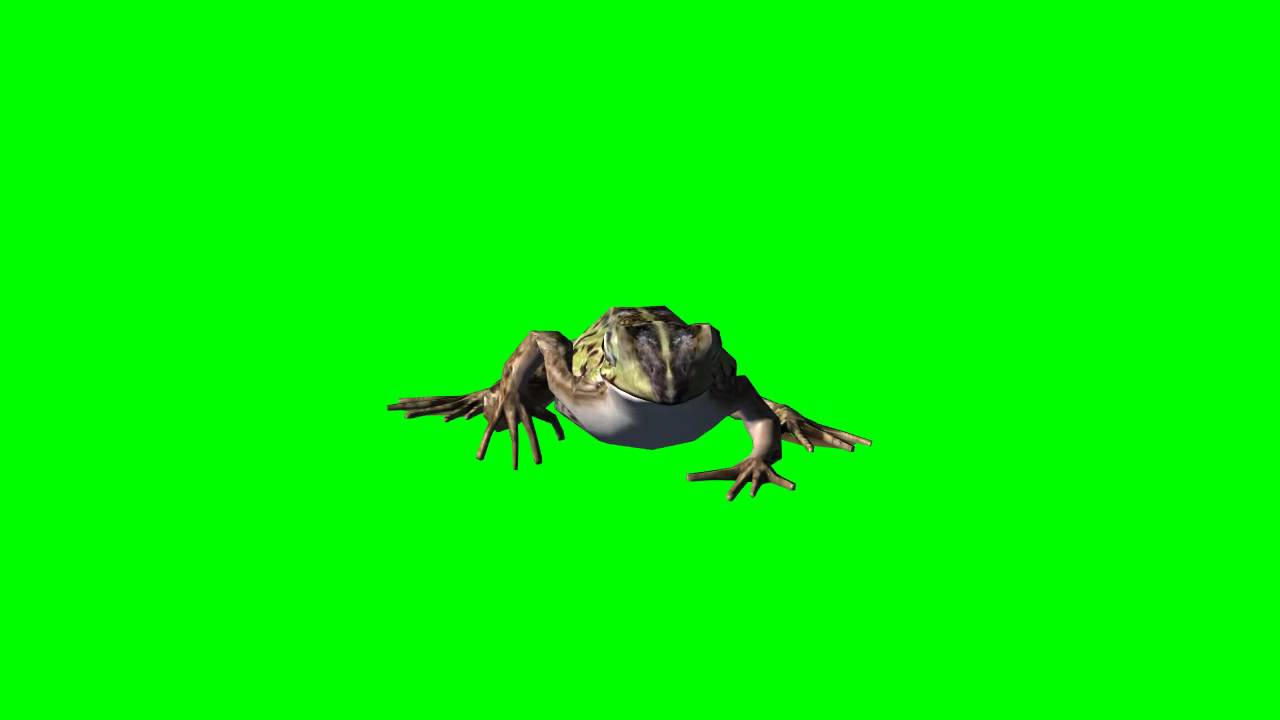 walking frog - free green screen effects - free use - YouTube