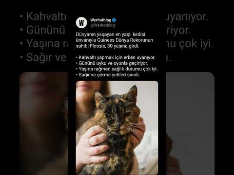 Dünyanın yaşayan en yaşlı kedisi ünvanıyla Guiness Dünya Rekorunun sahibi Flossie, 30 yaşına girdi.