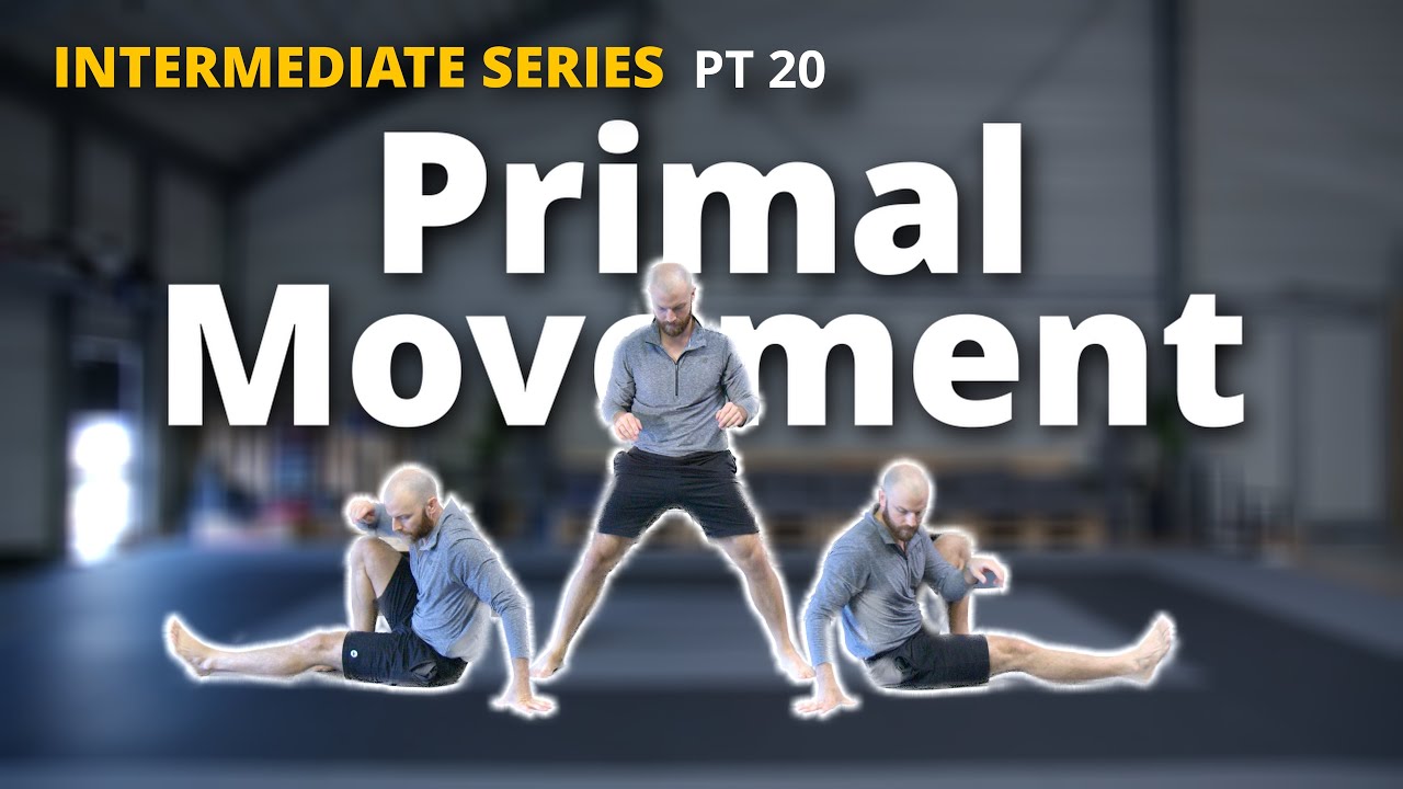 Primal Movement Workout - 15 Minute Follow Along - YouTube
