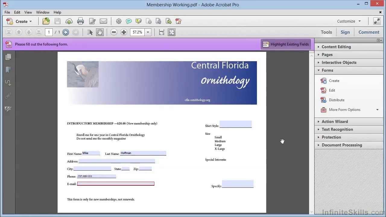 Adobe Acrobat XI - Creating Forms Tutorial | Creating Radio Buttons And Checkboxes - YouTube