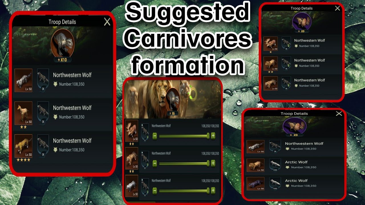Some carnivores types of formation recommendation for the beast lord ...