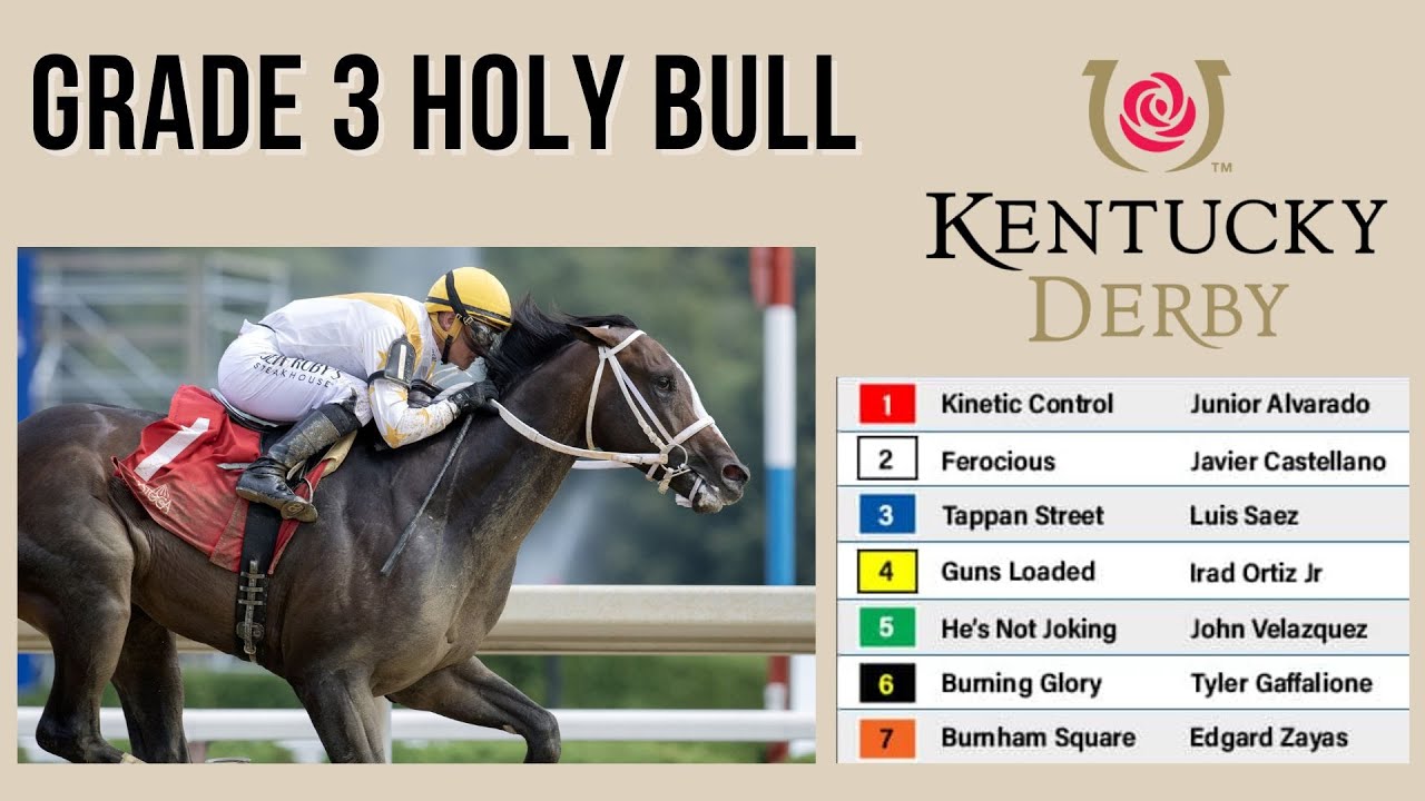 Holy Bull Stakes Preview Unlikely Winner - YouTube