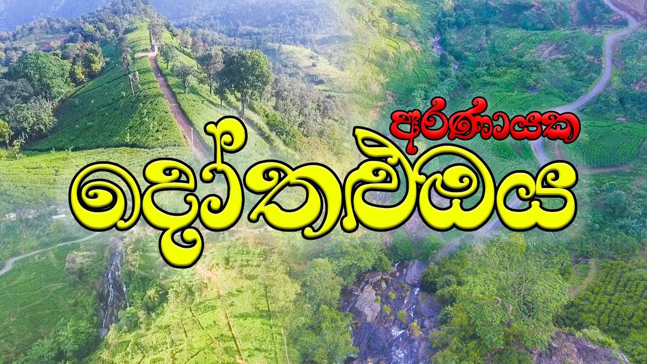 Aranayaka- DothaluOya අරණායක දෝතළුඔය ලස්සන බලමුද? - YouTube