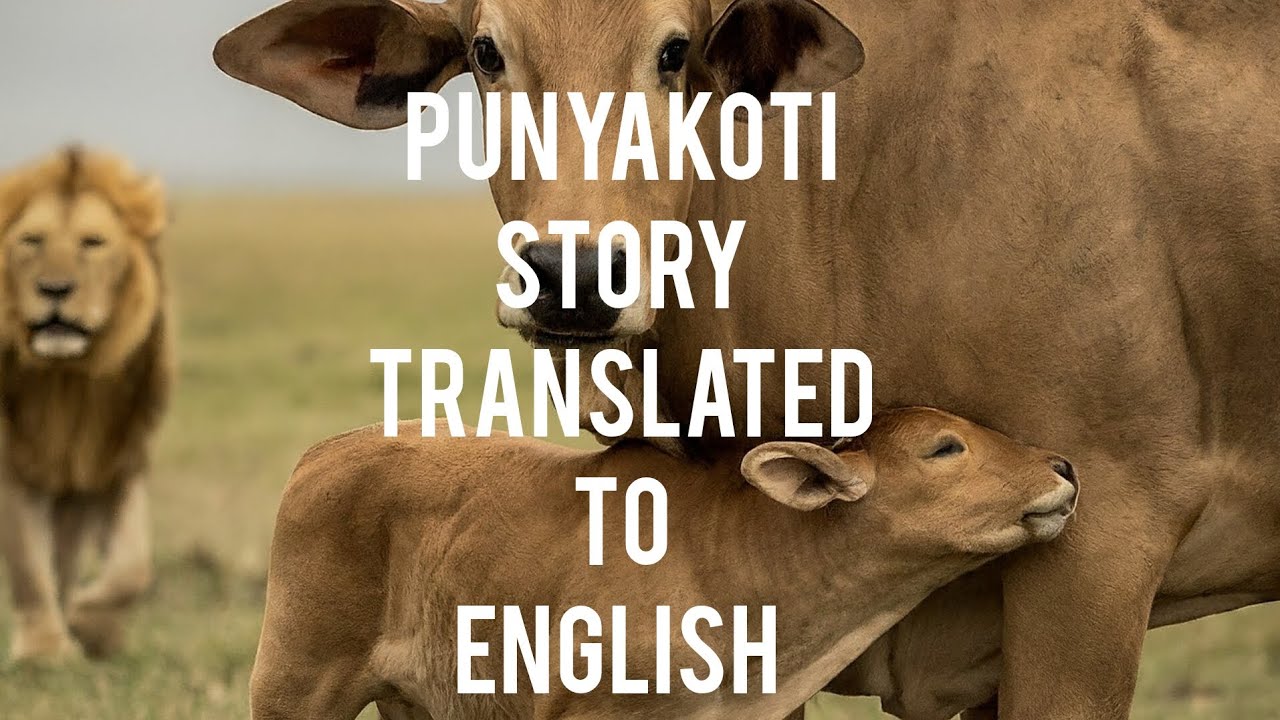 punyakoti story|translated to English|sad story - YouTube