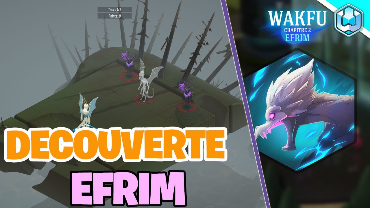 DECOUVERTE DU COMBAT D'EFRIM I WAVEN [ SAISON WAKFU CHAPITRE 2 ] - YouTube