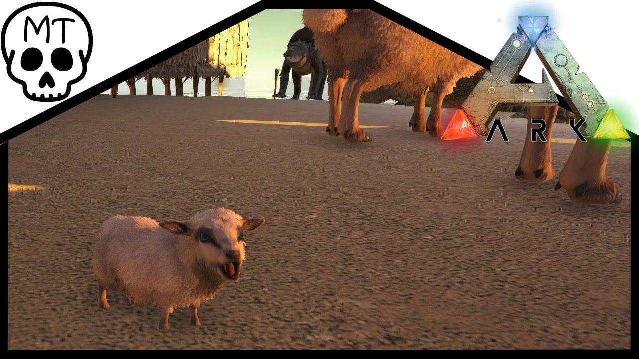 Base Building and Ovis Breeding! Ark Survival Evolved! - YouTube