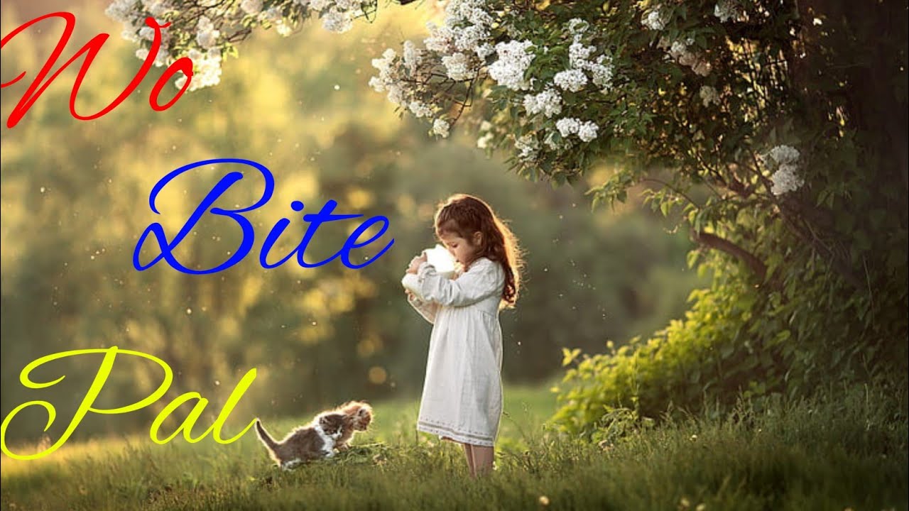 Wo Bite pal (Full video) New Hindi song (remix) Bollywood Hindi song (lyrics) hindi song - YouTube