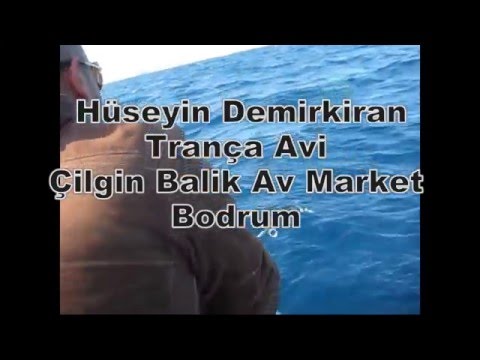 hüseyin & ufuk bodrum trança avı