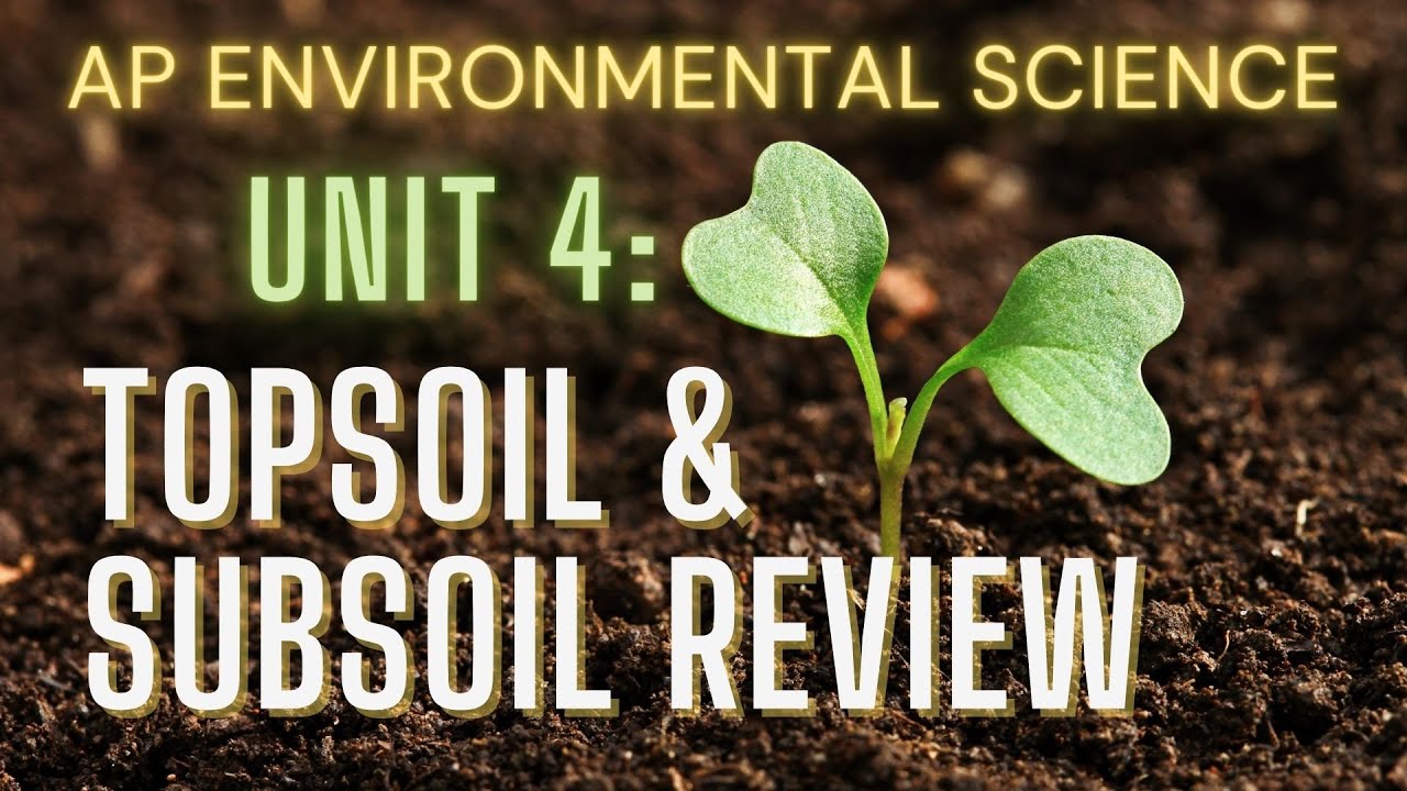 What Is Topsoil & Subsoil? - YouTube