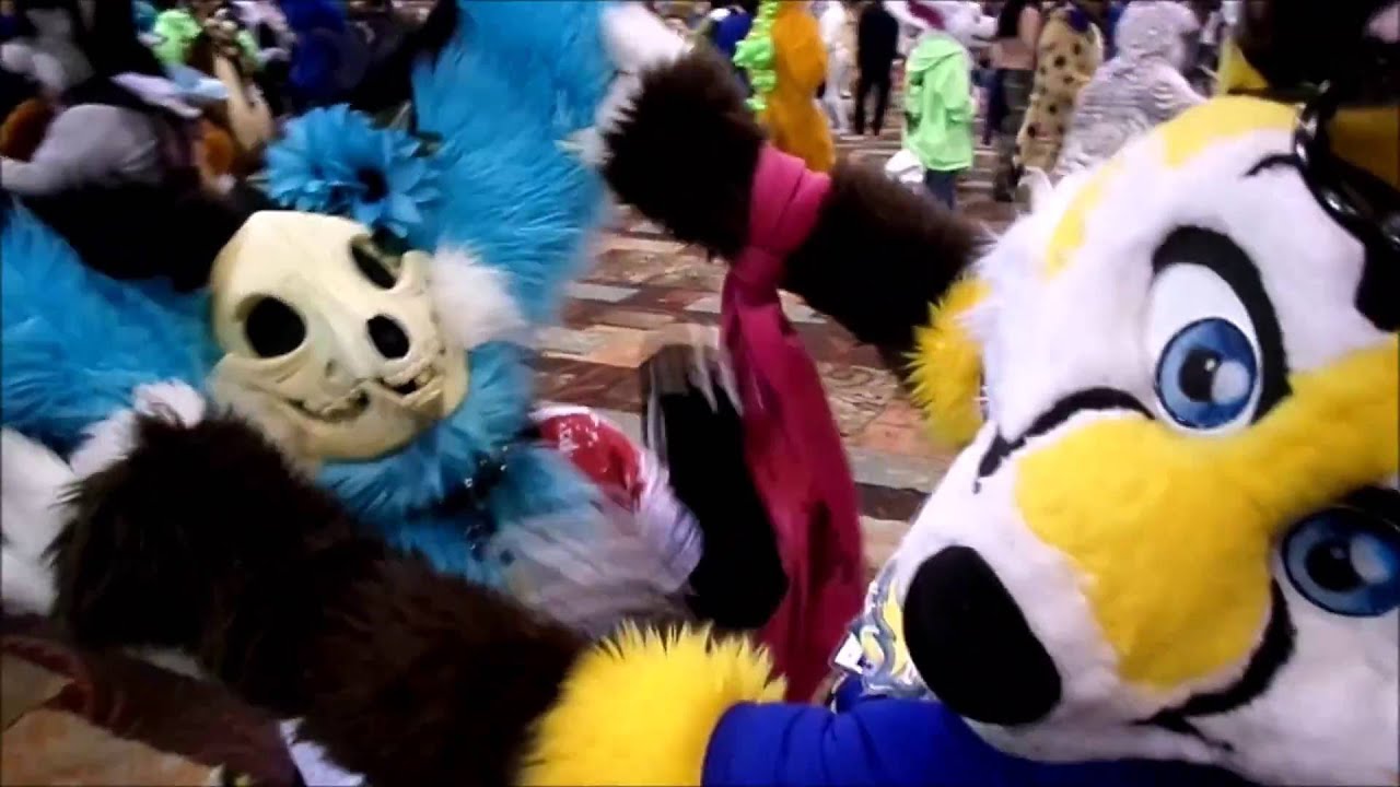 A Foxes tale of BLFC- BIGGEST LITTLE FUR CON 2016 - YouTube