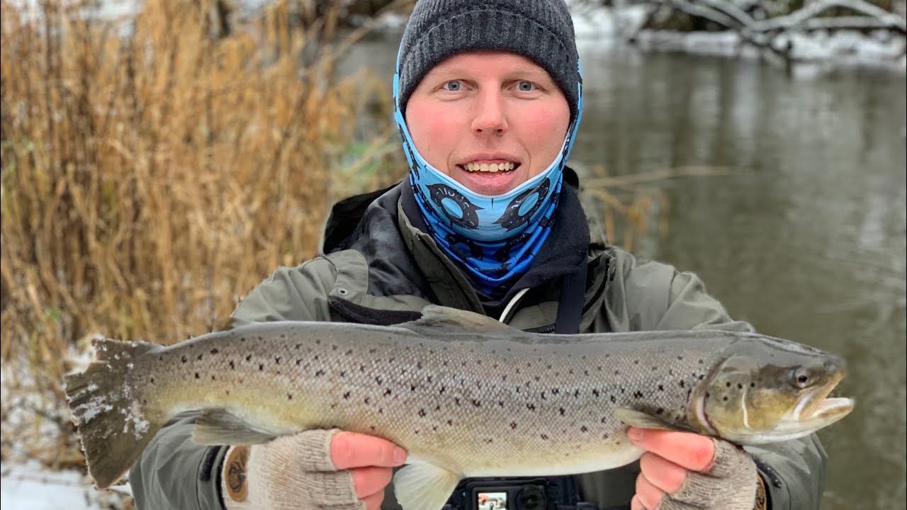 Meriforelli püük jõelt - YouTube