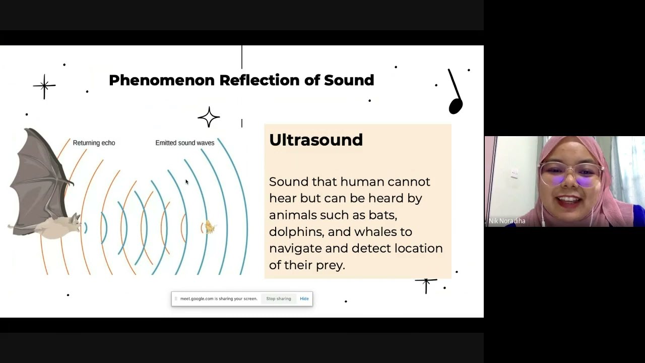Sound Can Be Reflected Primary 4 - YouTube
