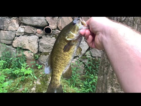 Fishing for smallmouth in Pigeon forge, Tennessee. ($40 at Walmart and ...