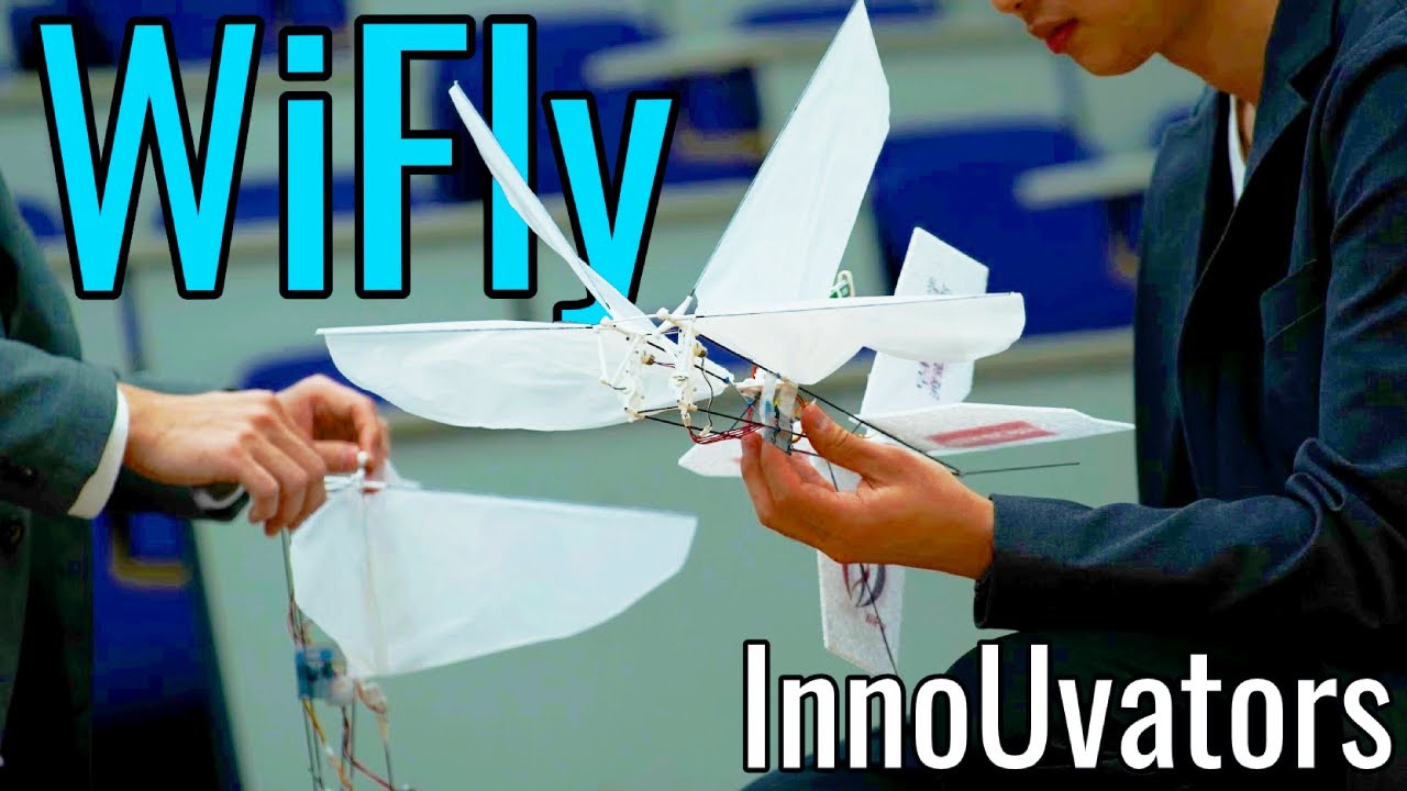 WiFly - The Future of Portable Ornithopters - YouTube