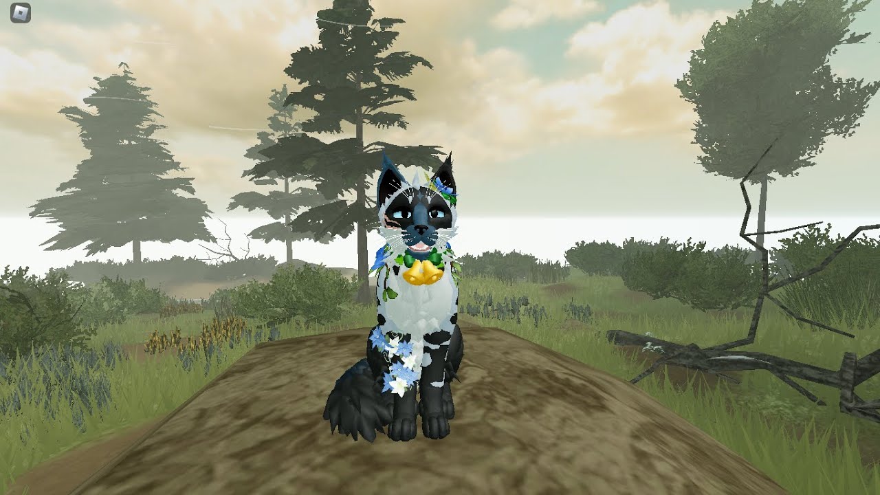 Our New Map || WCUE || Music Video - YouTube