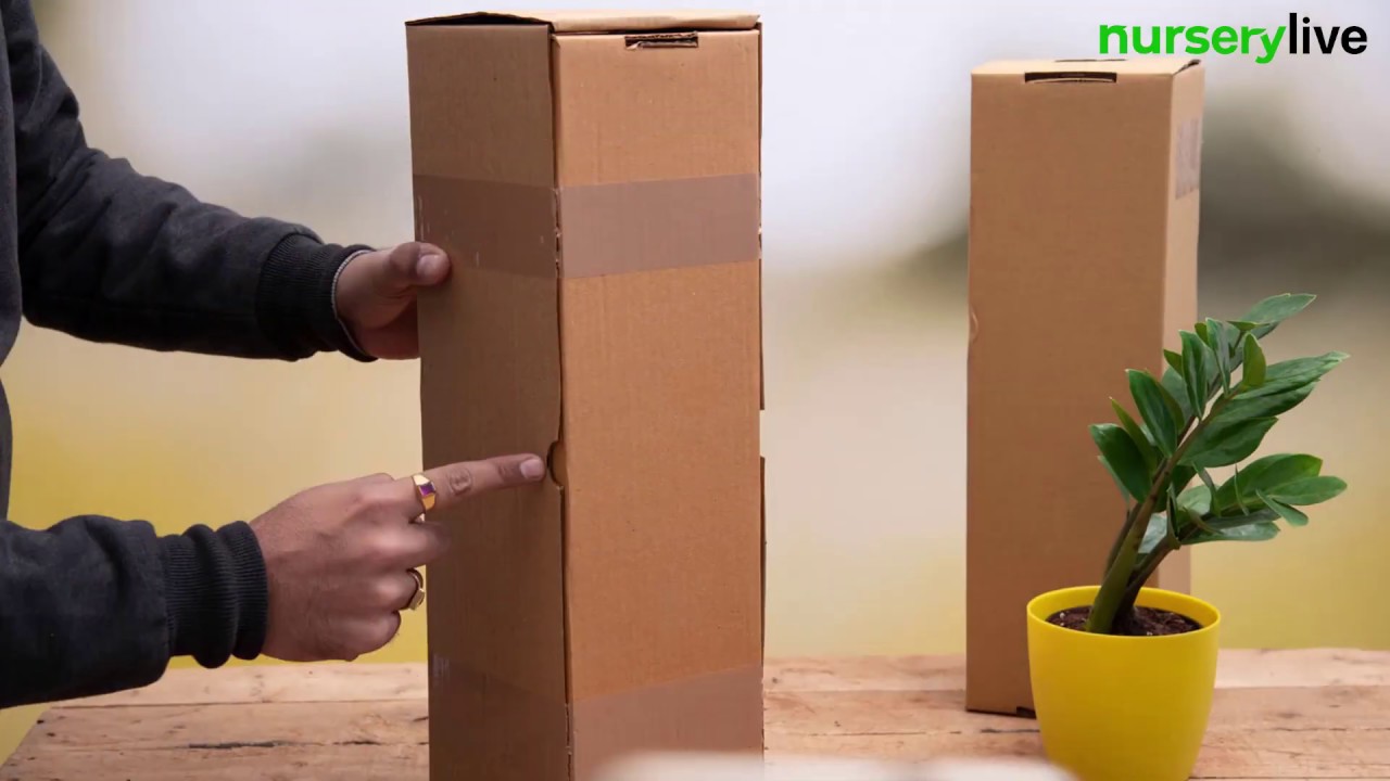 Unboxing - Short Video On How To Unbox Your Plants Carefully In 3 Easy ...